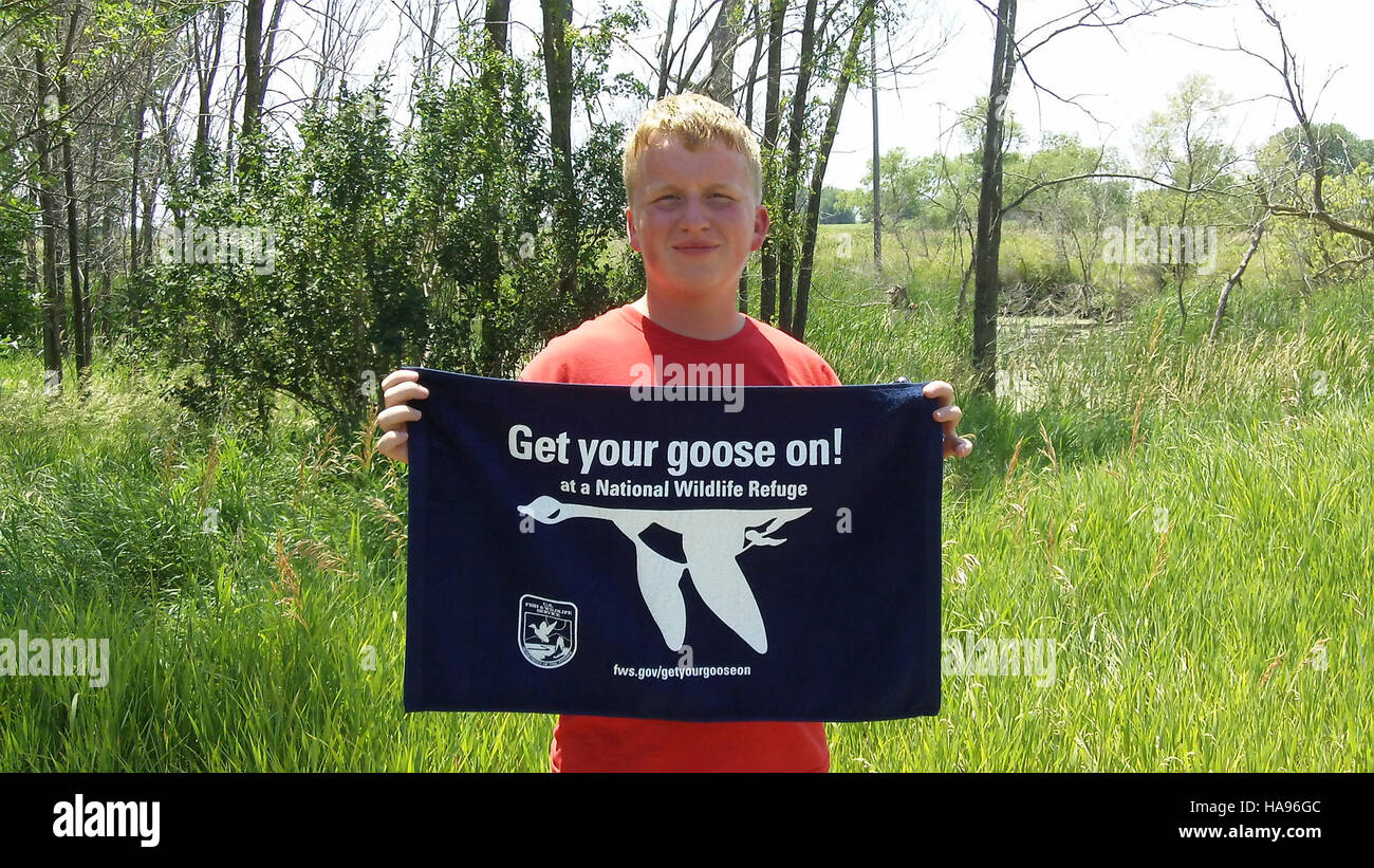 usfwsmtnprairie 8024904728 Get Your Goose On¡ Stock Photo - Alamy