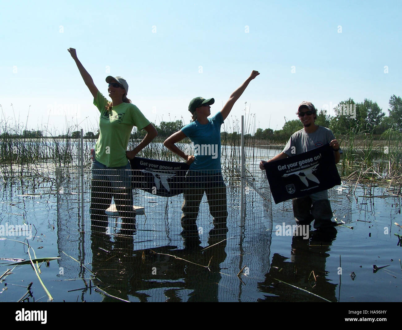 usfwsmtnprairie 8027273323 Get Your Goose On¡ - While Trapping Ducks ...