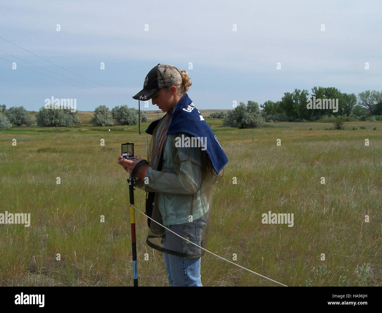 This campaign promotes awareness about goose species in national parks ...