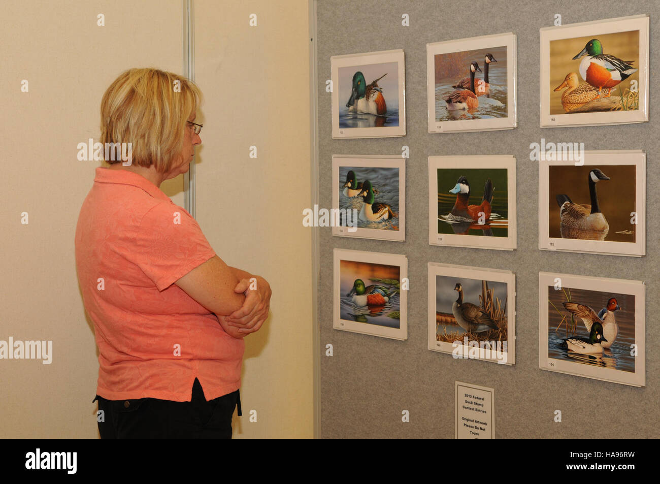 An image of the Mountain Prairie region, showcasing the unique wildlife ...