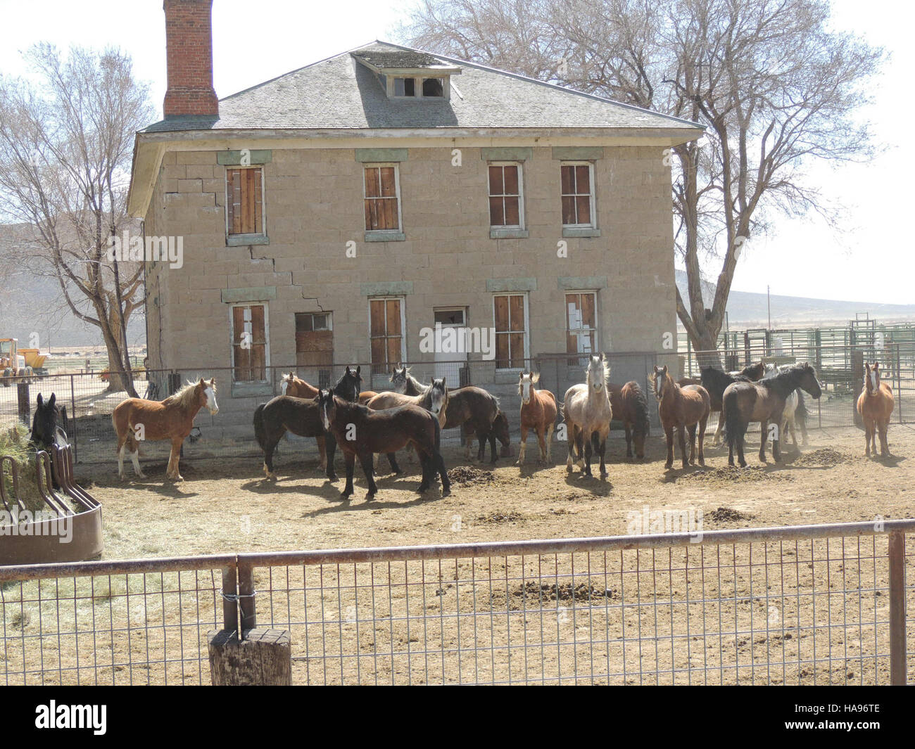 A wide-angle photograph showing the Diamond Complex stud pen at the ...