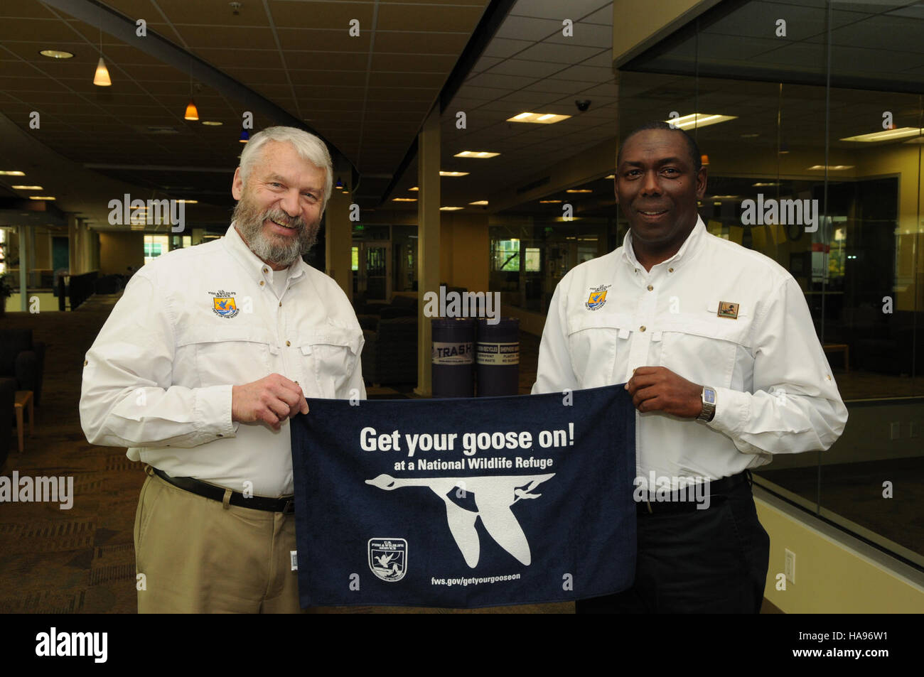 An image featuring a group of geese in a natural prairie setting. The ...