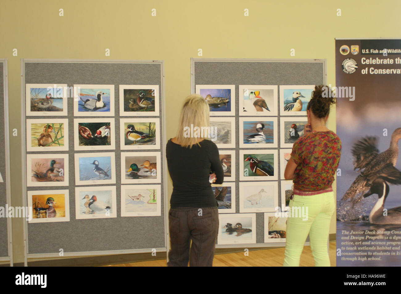 Gallery viewing spaces hi-res stock photography and images - Alamy