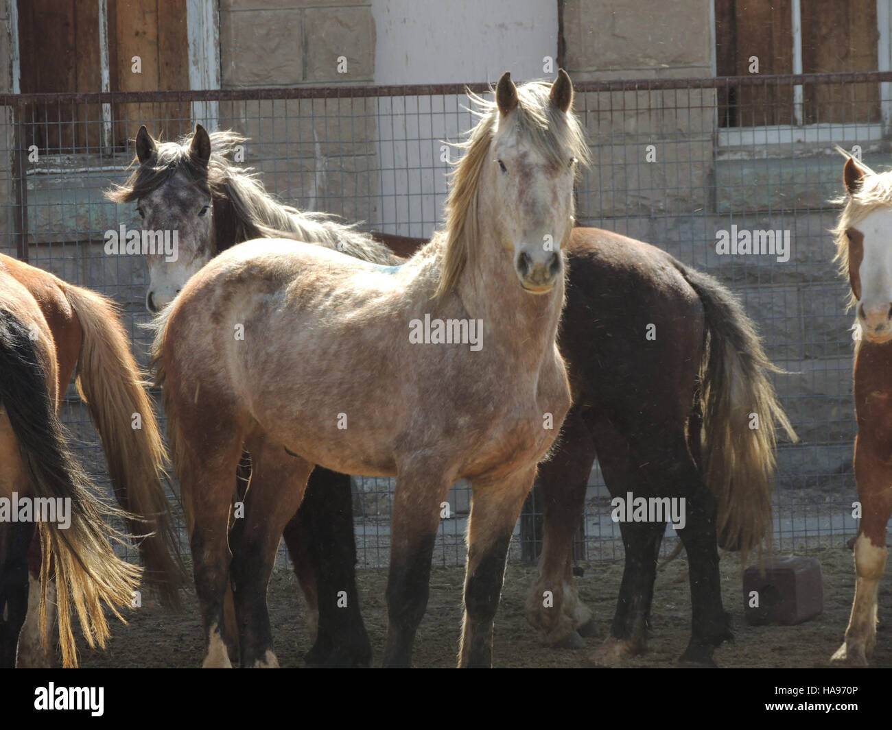 Showcasing natural mineral patterns hi-res stock photography and images ...