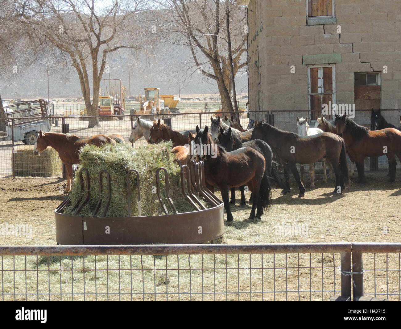 This image shows the Diamond Complex stud pen, used for managing and ...