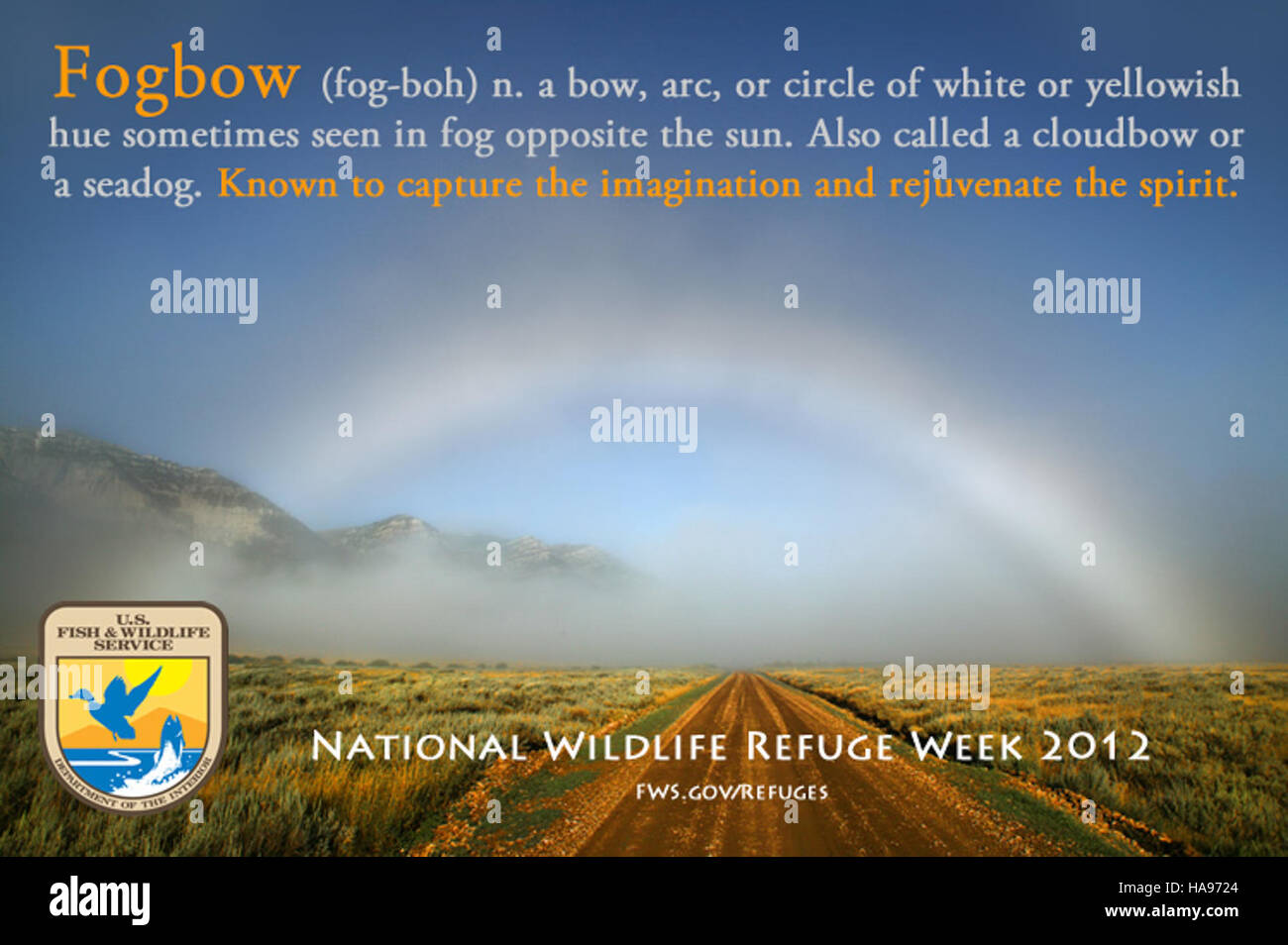 This image depicts a fogbow, a rare optical phenomenon similar to a ...
