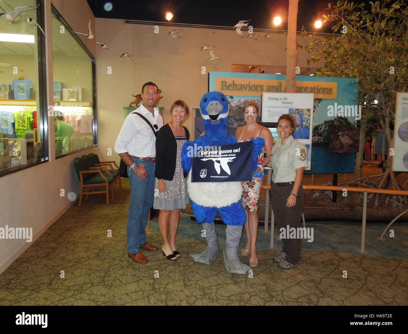 This image captures a wild goose in flight, part of a wildlife ...