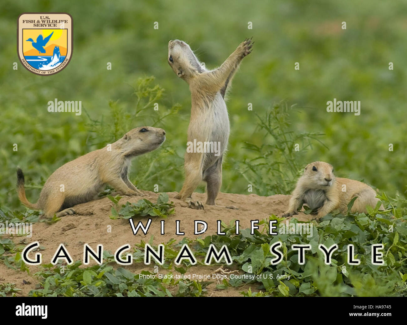 The U.S. Fish and Wildlife Service Mountain Prairie region’s initiative ...