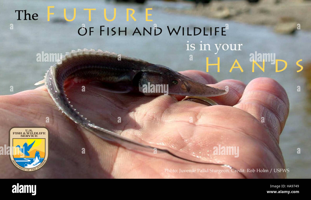 This image, part of the U.S. Fish and Wildlife Service’s Mountain ...