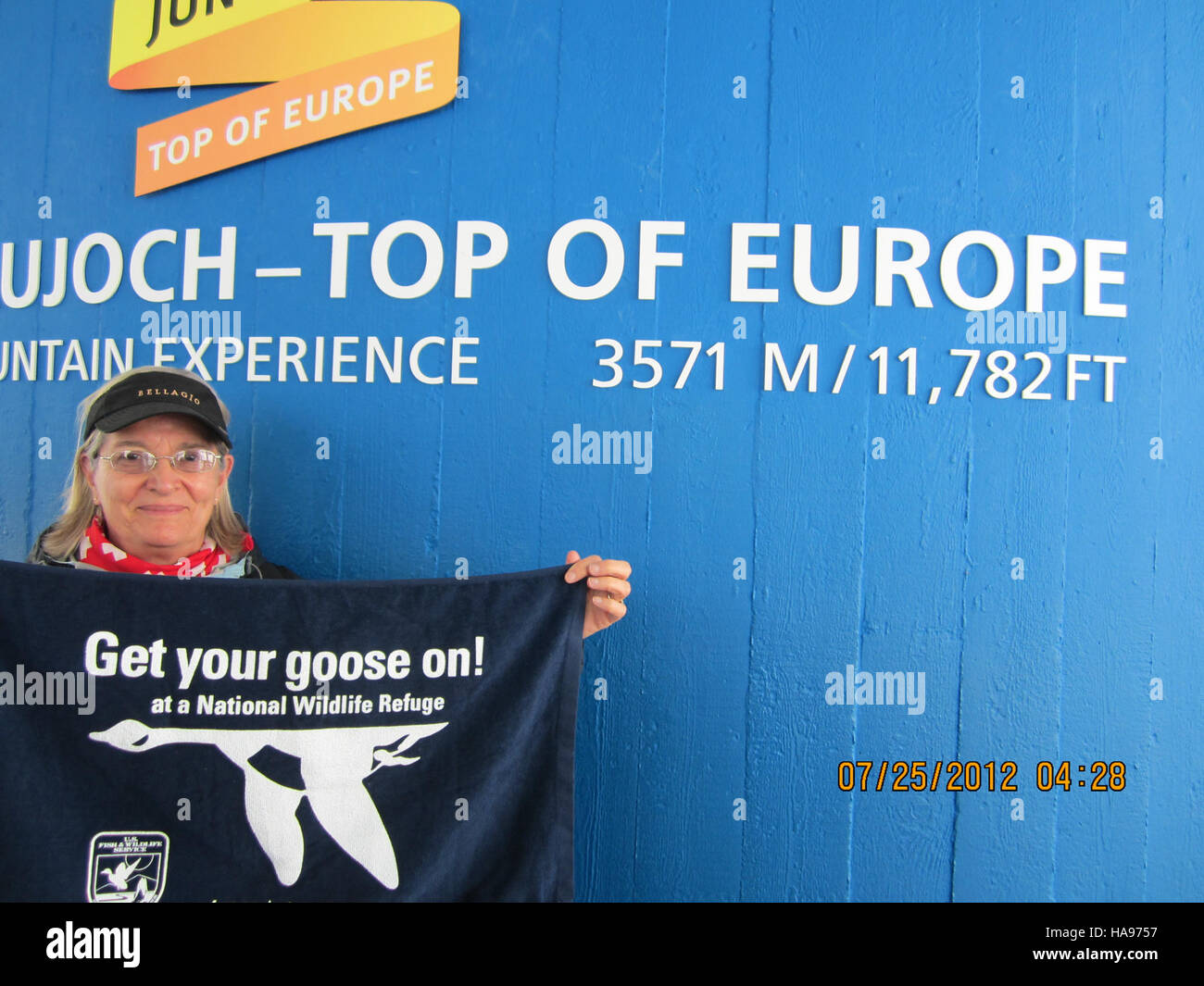 This image features a goose in its natural habitat, captured in the ...