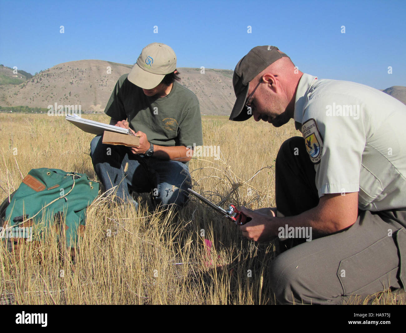 This photograph captures a natural landscape during a season of growth ...
