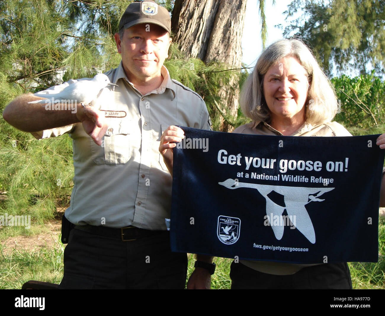 ‘Get Your Goose On’ features wildlife photography taken at a Pacific ...