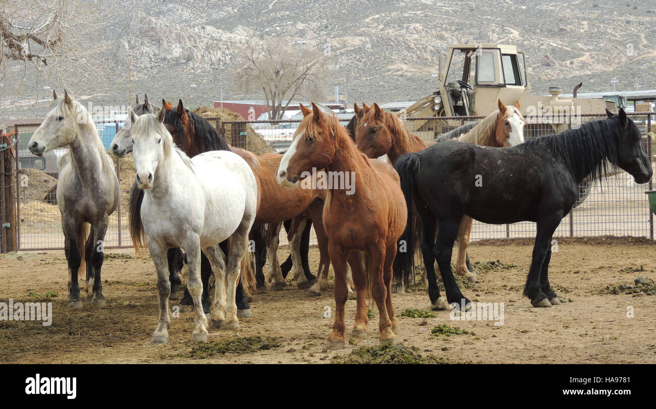 Detailed study of geological formations hi-res stock photography and ...