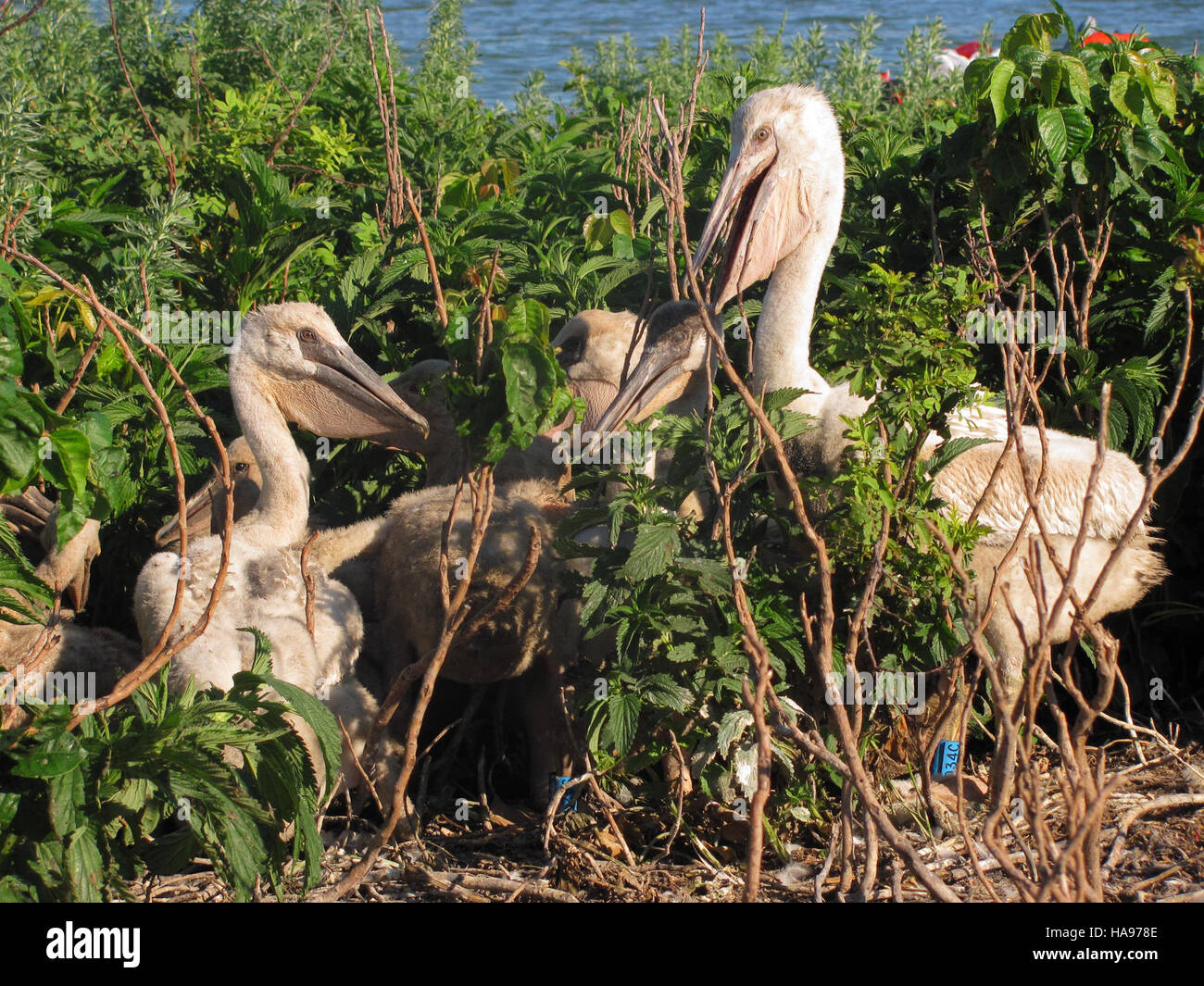 The image depicts a small creche, a traditional scene representing the ...