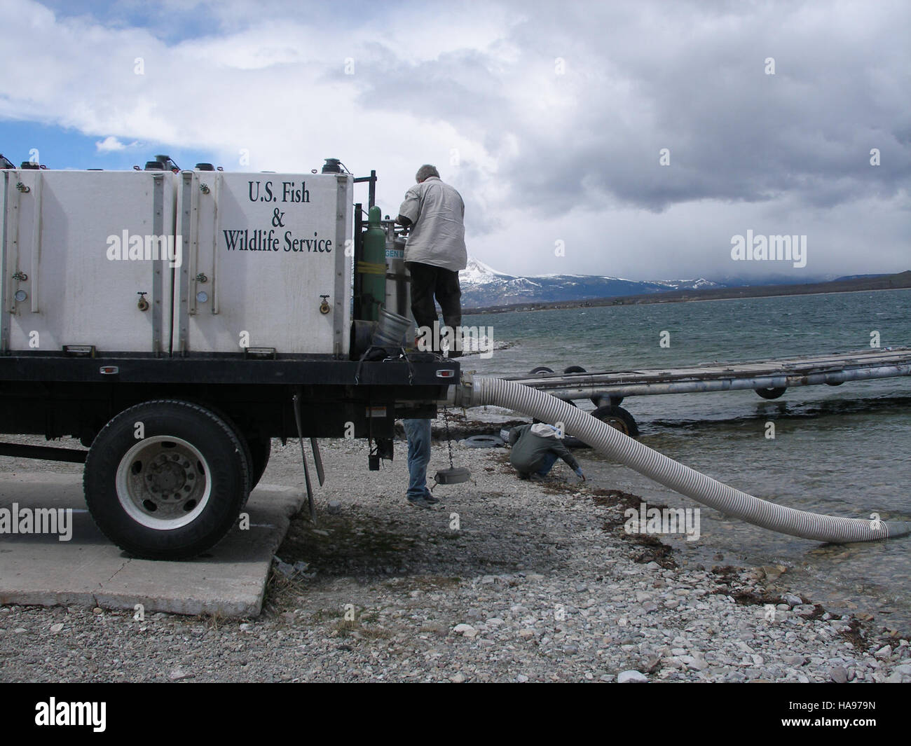 The Creston National Fish Hatchery in Montana is involved in the vital ...