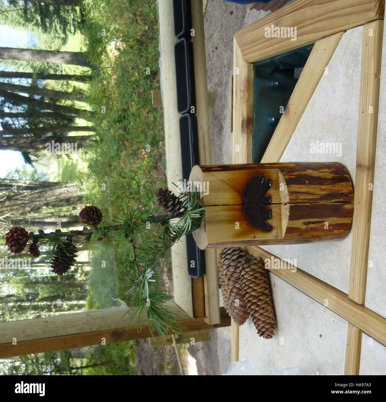 Creston’s Nature Explore Outdoor Classroom offers an engaging and ...