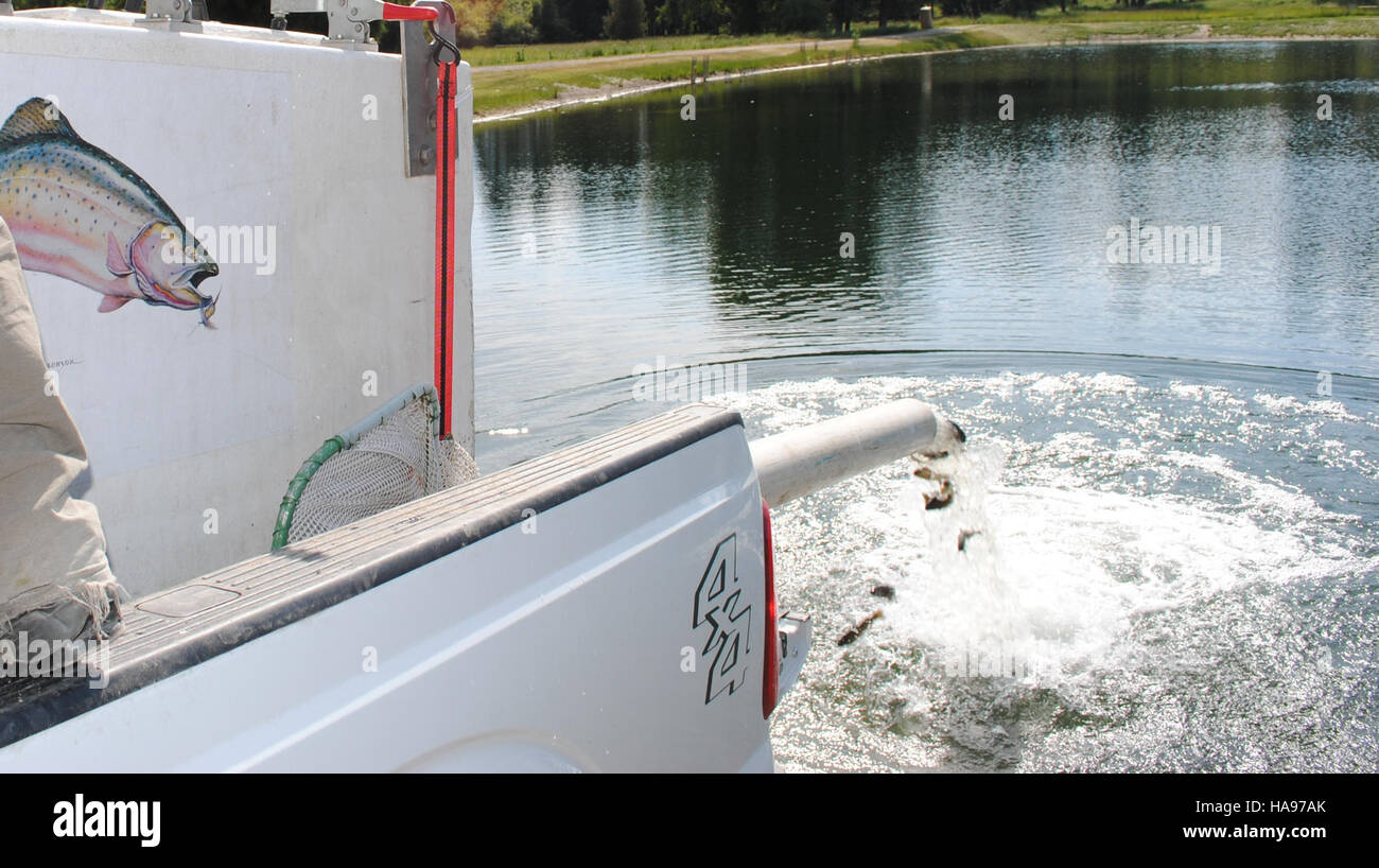 This image shows the stocking of a local family pond by the Creston ...