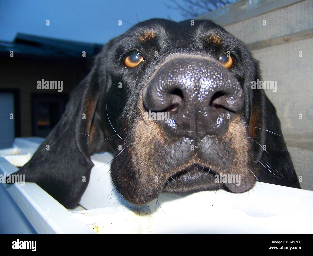 Prominent art motif hi-res stock photography and images - Alamy