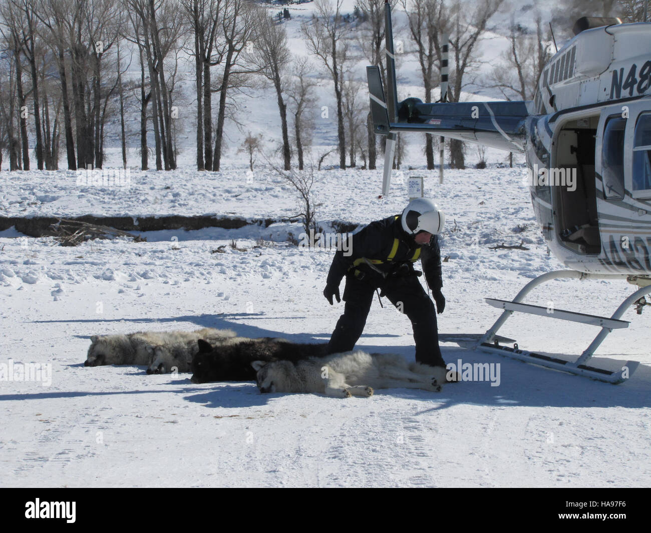 This photograph shows the unloading of passengers from a transport ...