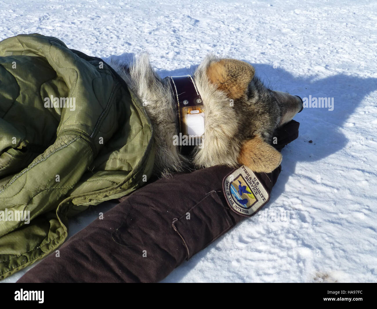 This image from the U.S. Fish and Wildlife Service Mountain Prairie ...