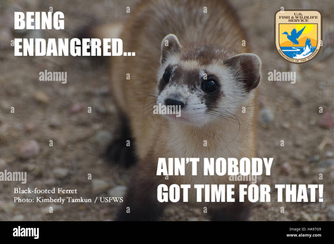 This photograph captures a light-hearted moment of humor. It references ...