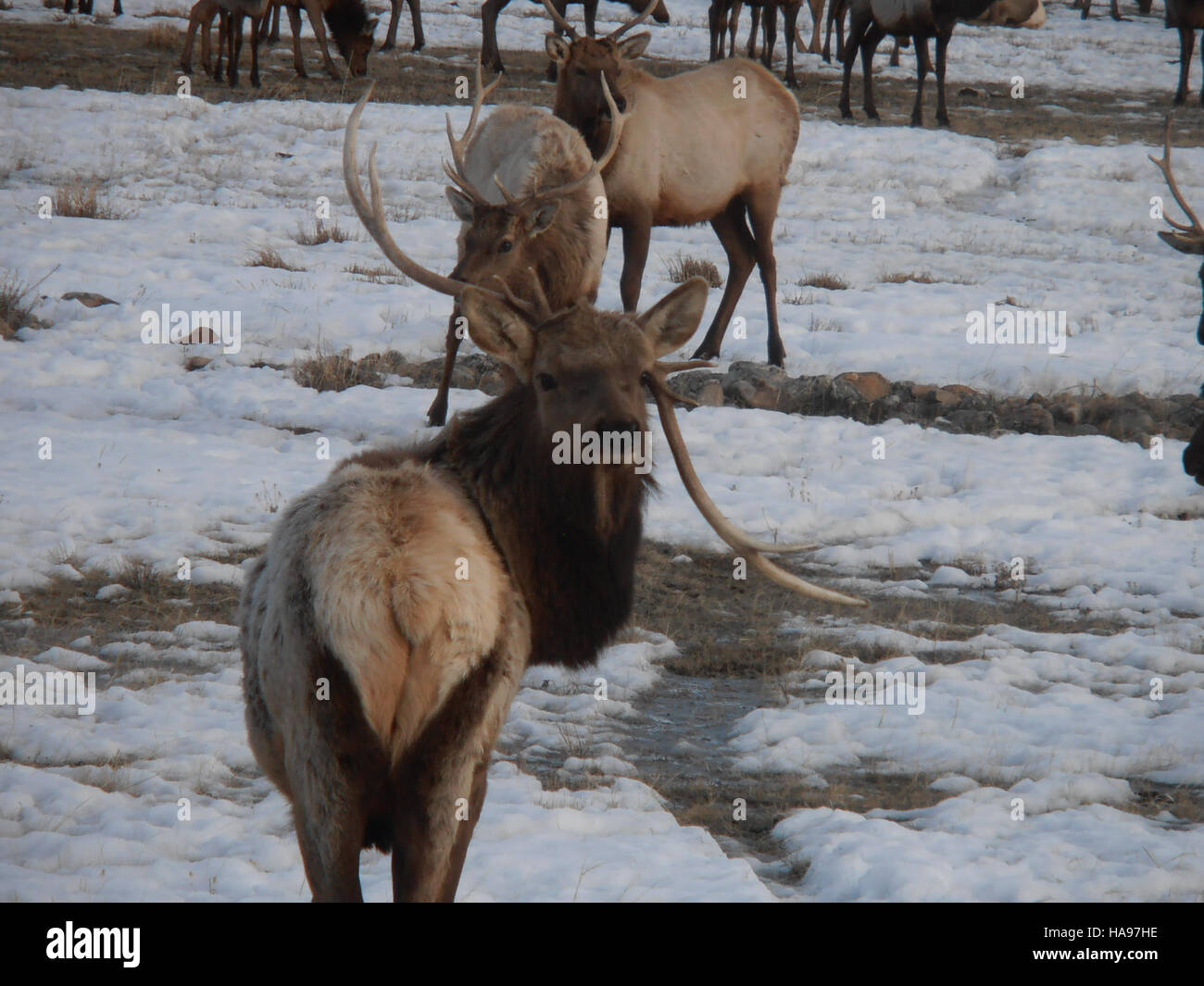 An image captured under the USFWS Mountain Prairie region, titled ...