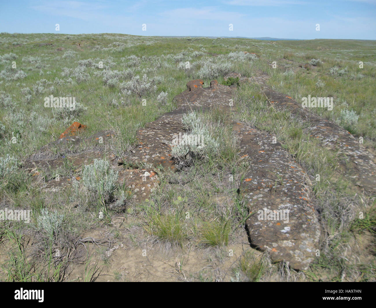 The photograph 'Sand Arroyo' captures the natural landscape of an arid ...