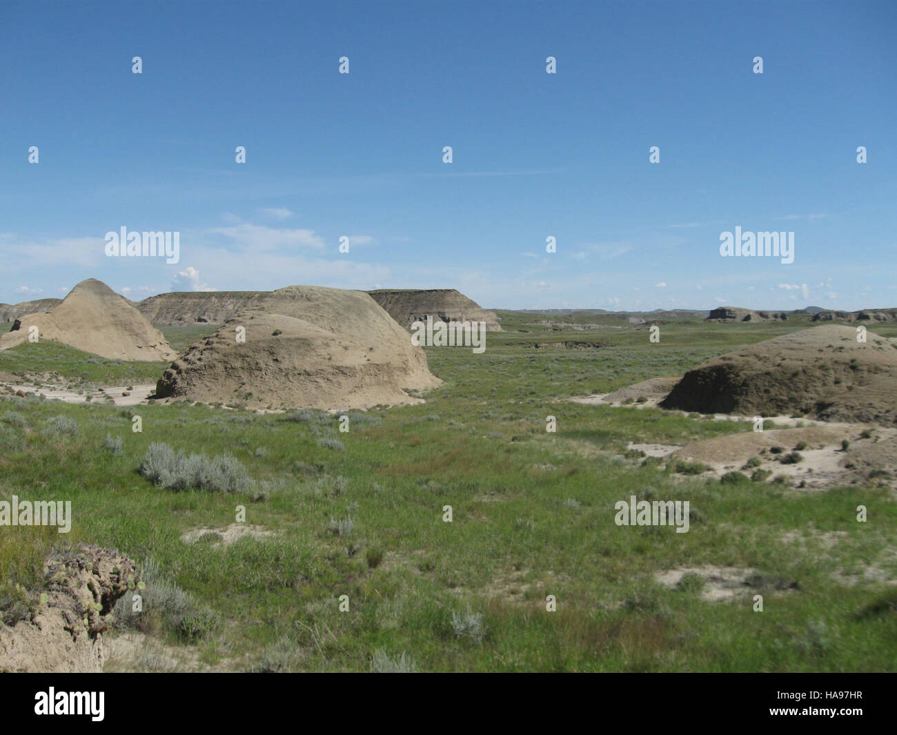 A photograph of the Sand Arroyo, located within the Mountain Prairie ...