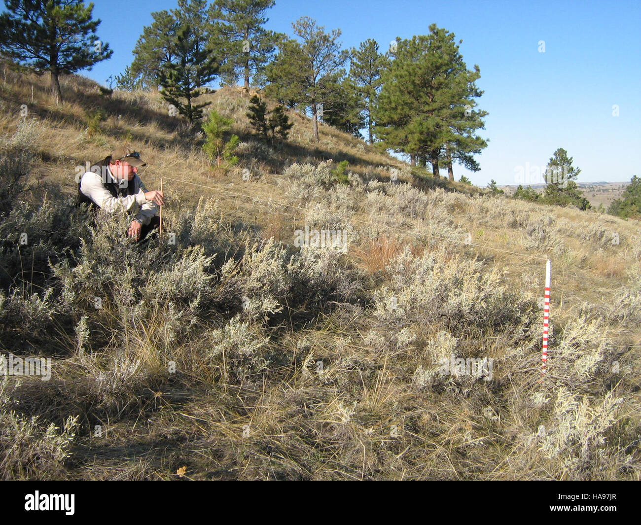 The *usfwsmtnprairie 8592166447* photograph shows vegetation monitoring ...