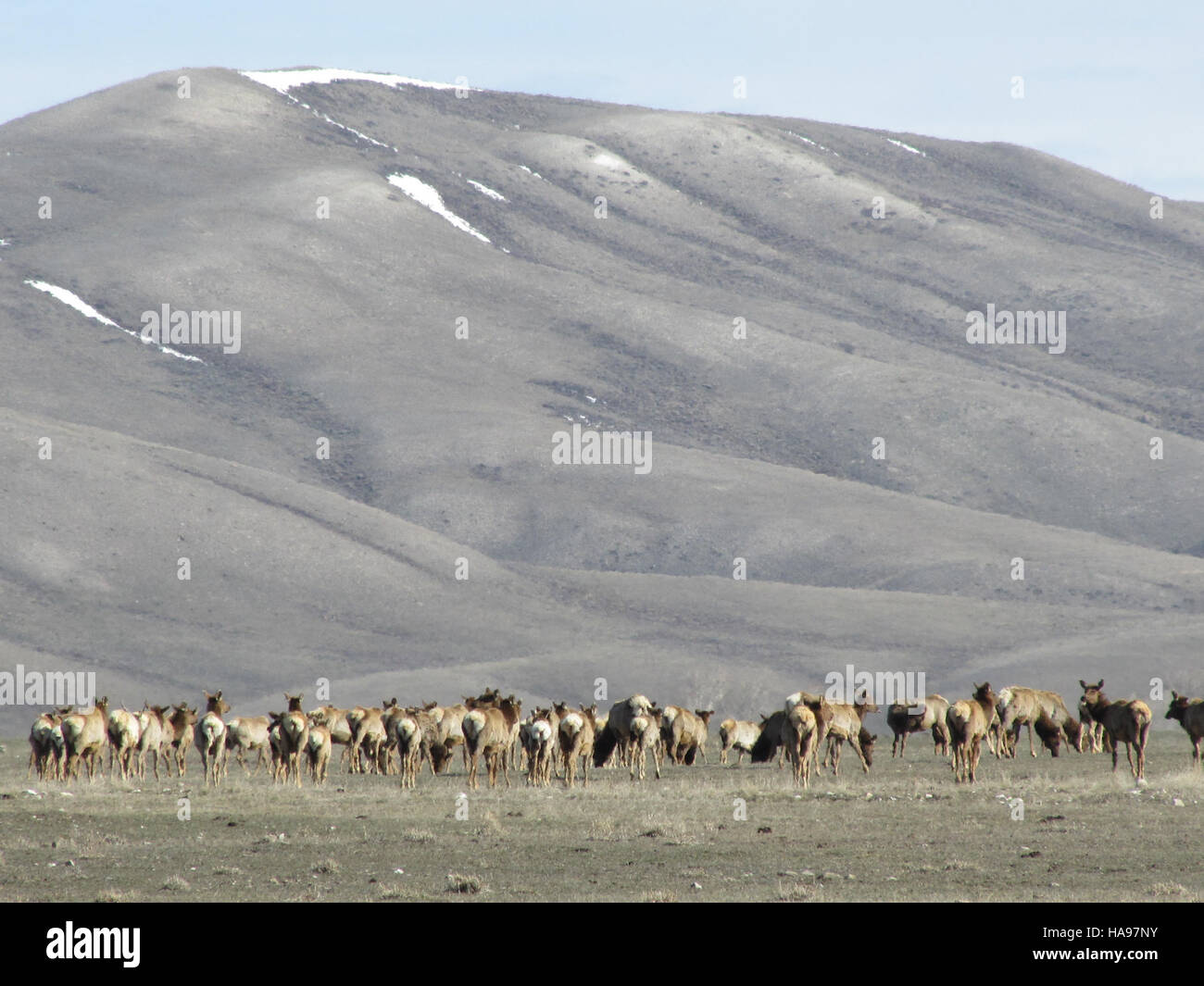Scenic mountain landscape showing vast hi-res stock photography and ...