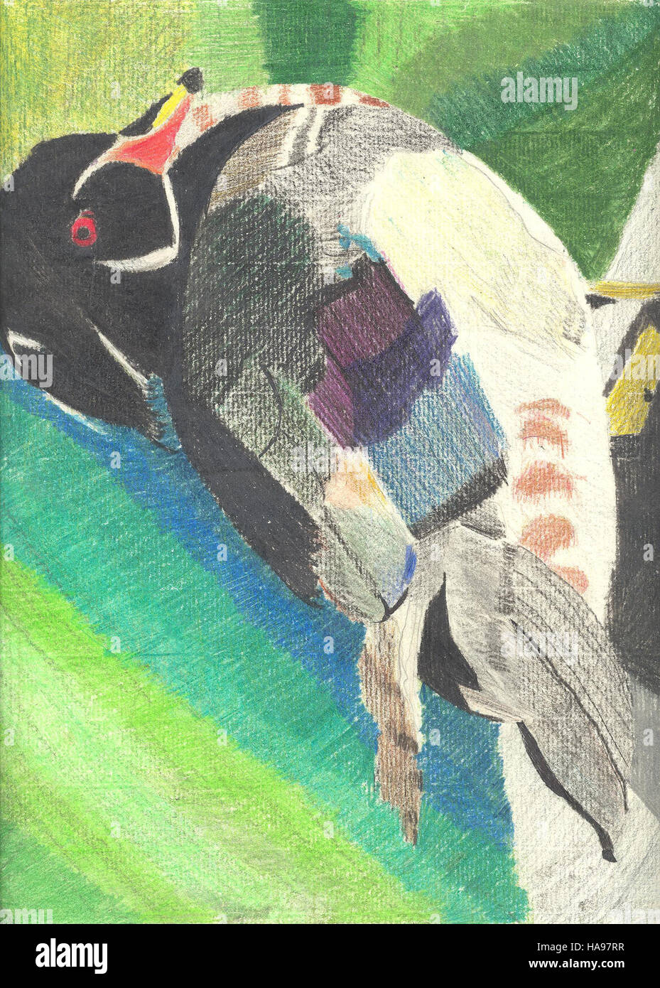 usfwsmtnprairie 8663269837 Noah Christopherson-Group 3 2nd Place Stock ...