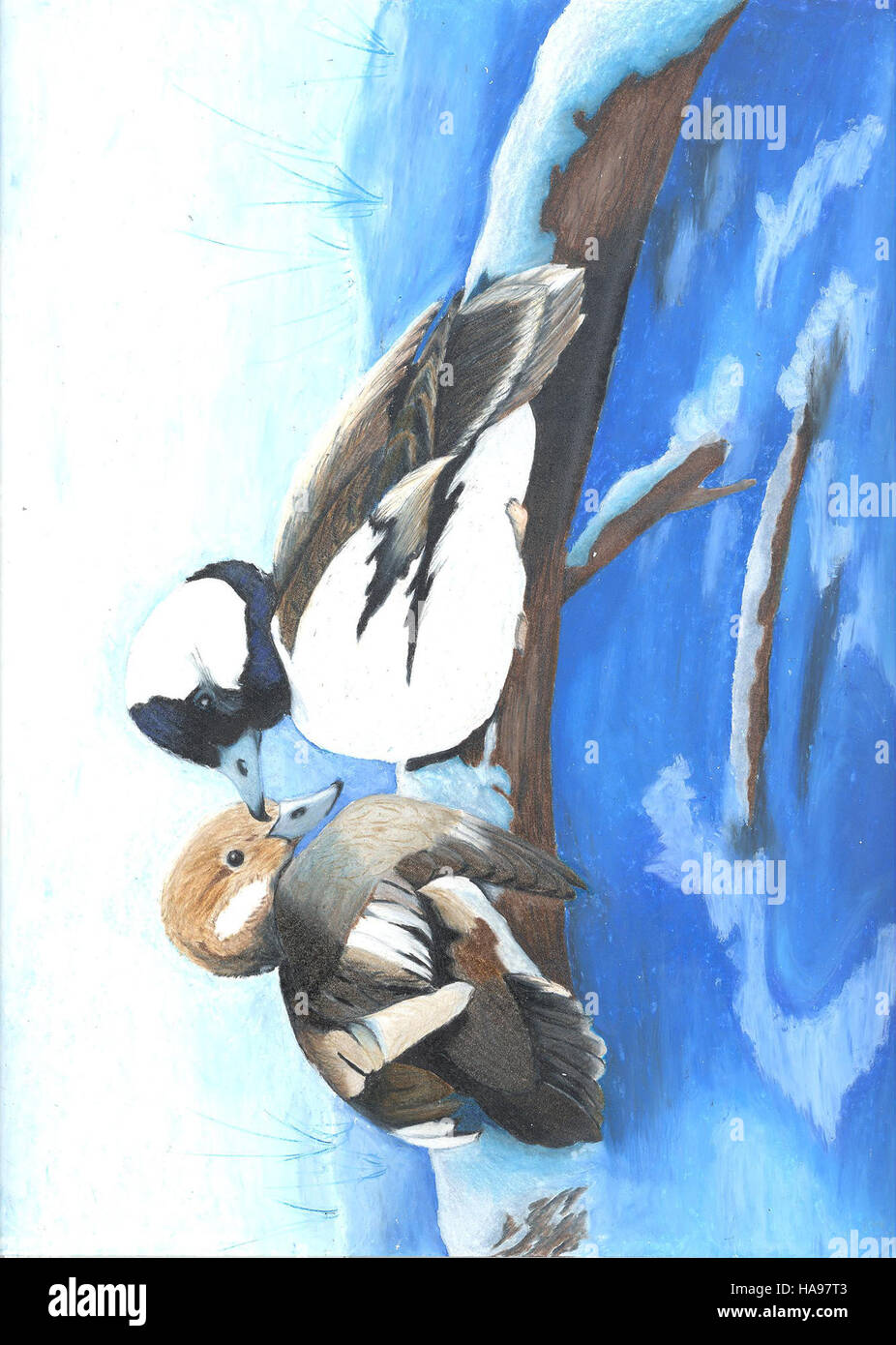 usfwsmtnprairie 8663291323 Bailey Robbins-Group 4 1st Place Stock Photo - Alamy