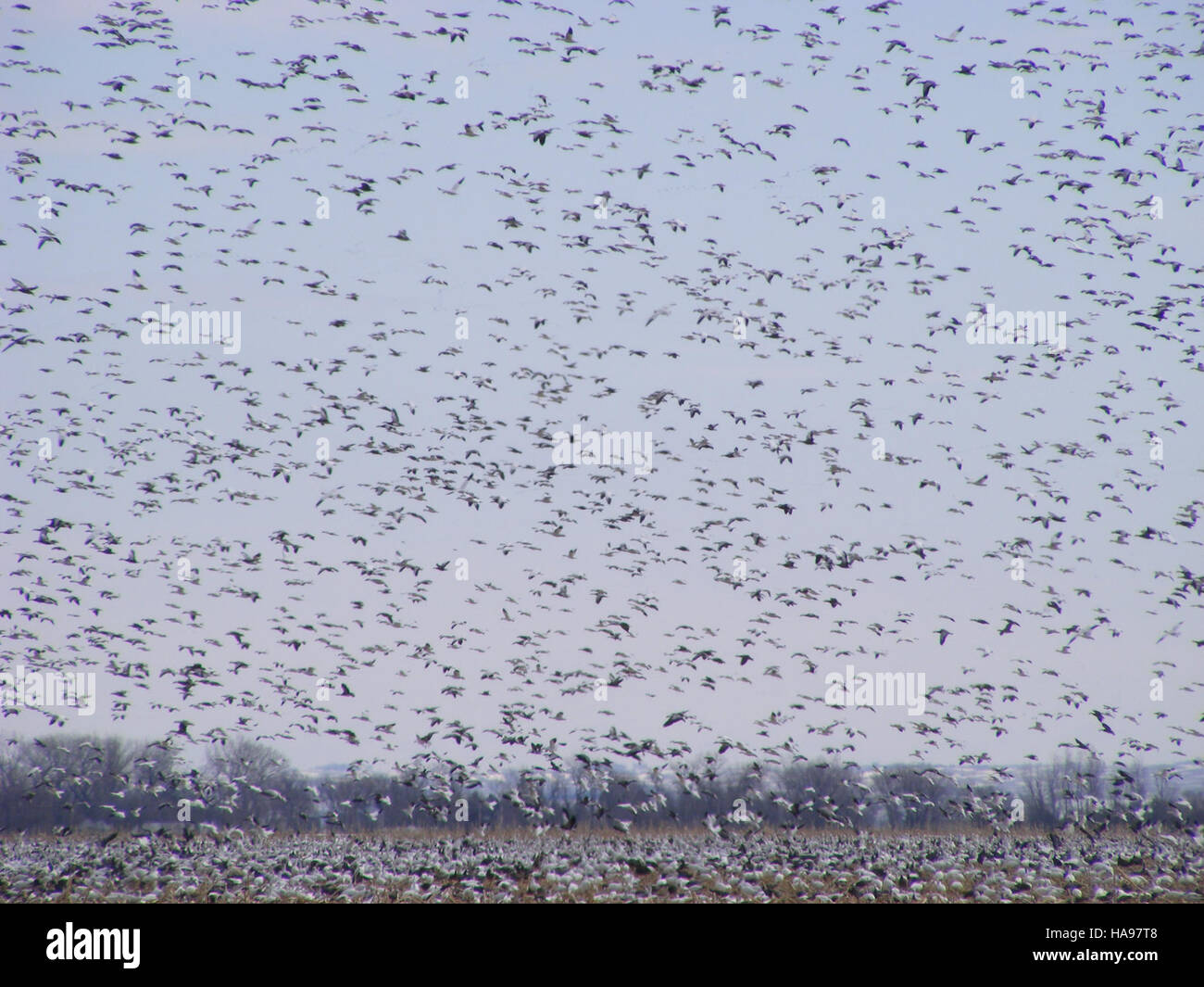 Photo captures stunning view hi-res stock photography and images - Alamy