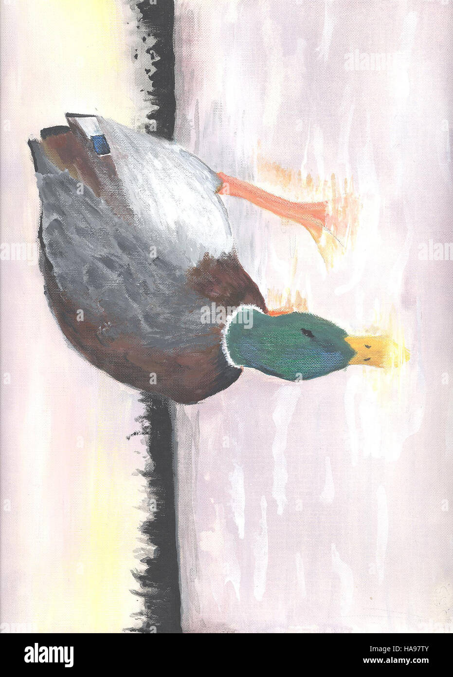 Kailee Smith's Group 3 first-place achievement in the USFWS Mountain ...