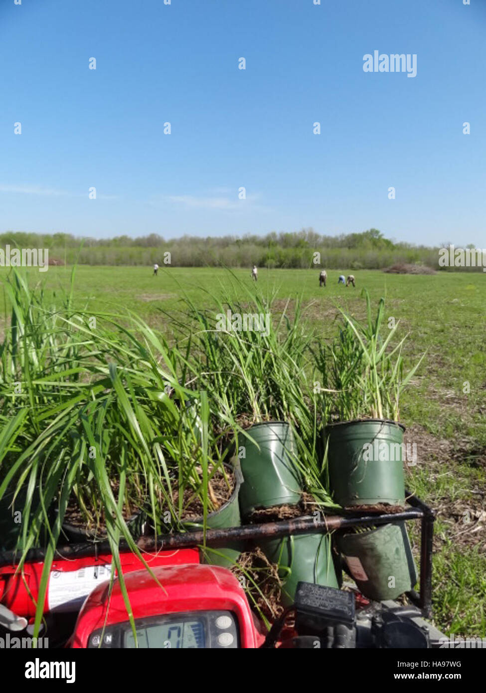 The Native Planting Project led by the U.S. Fish and Wildlife Service ...