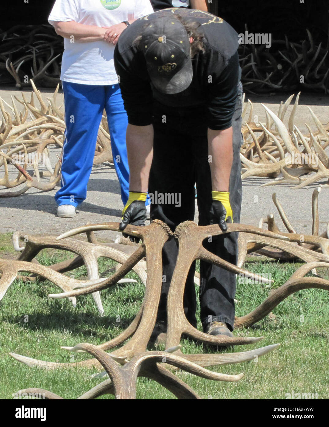 This photograph showcases paired sets from the Mountain Prairie region ...