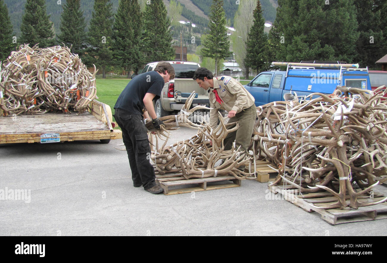 The U.S. Fish and Wildlife Service (USFWS) program, identified by the number 8739393112, is ...