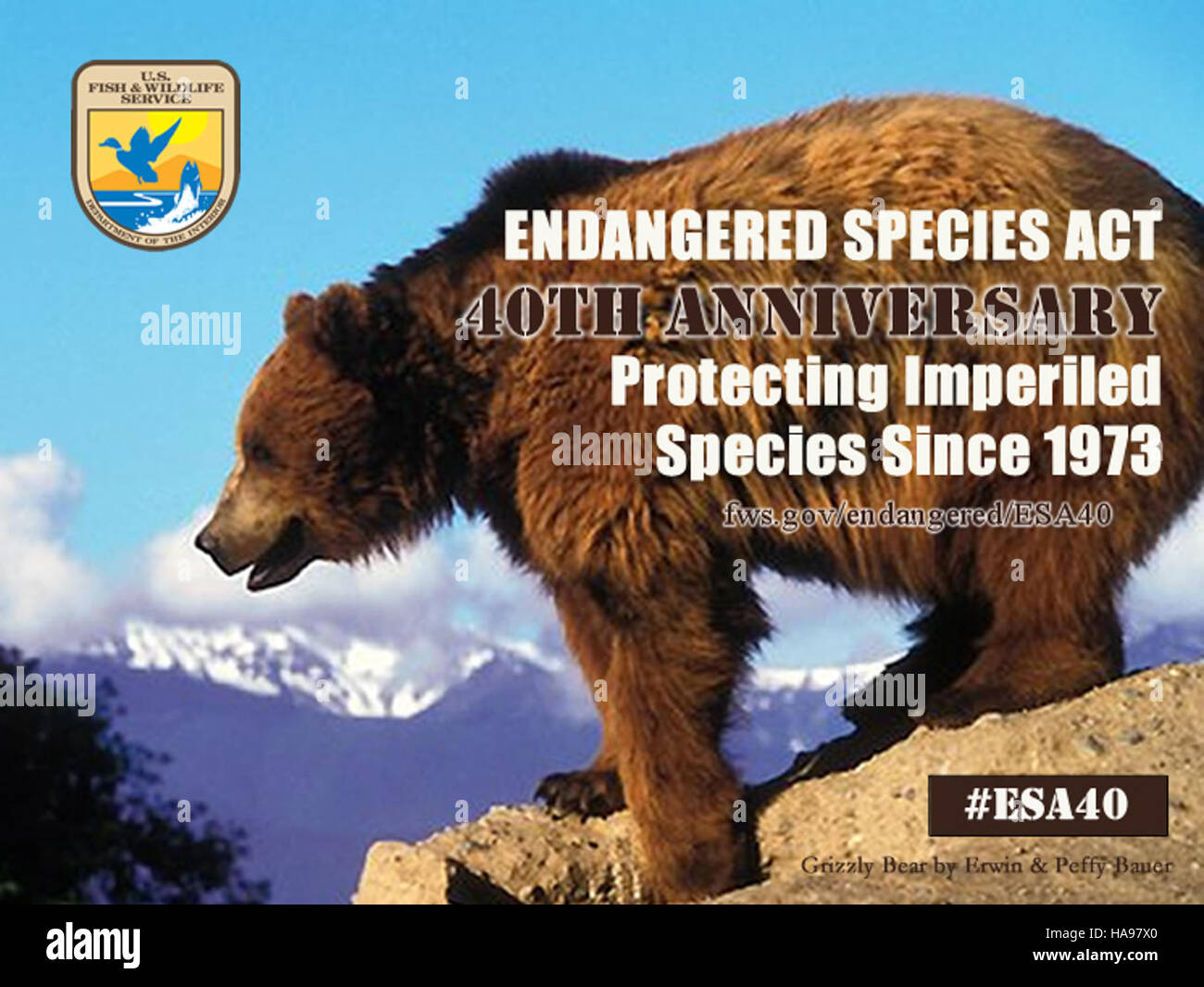 This image commemorates the 40th Anniversary of the Endangered Species ...