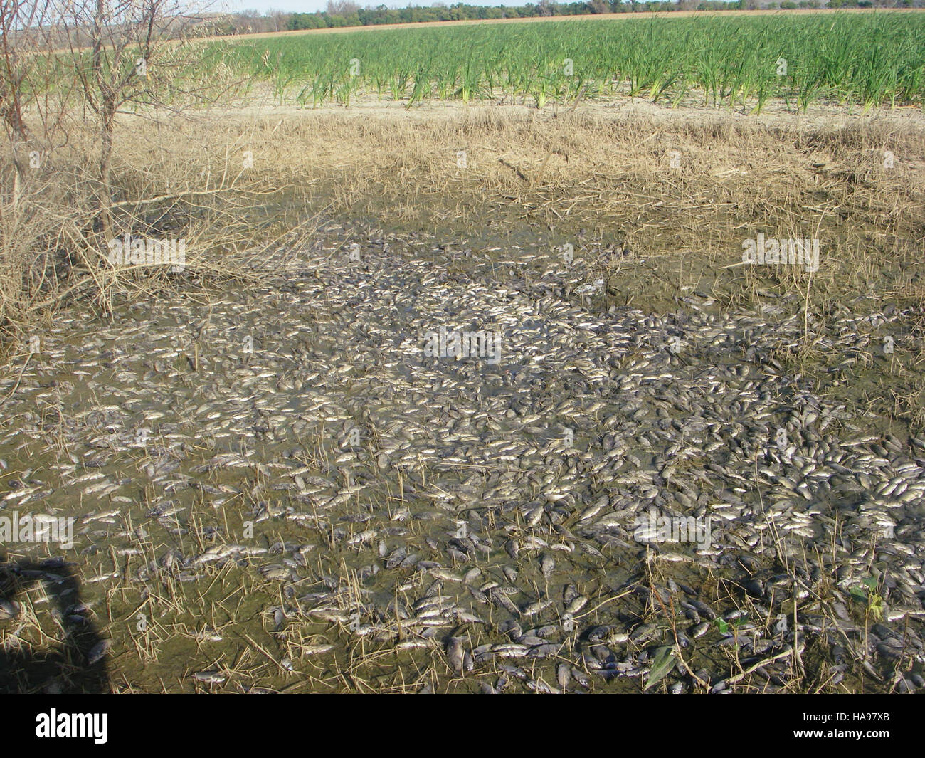 2011 flood hi-res stock photography and images - Alamy