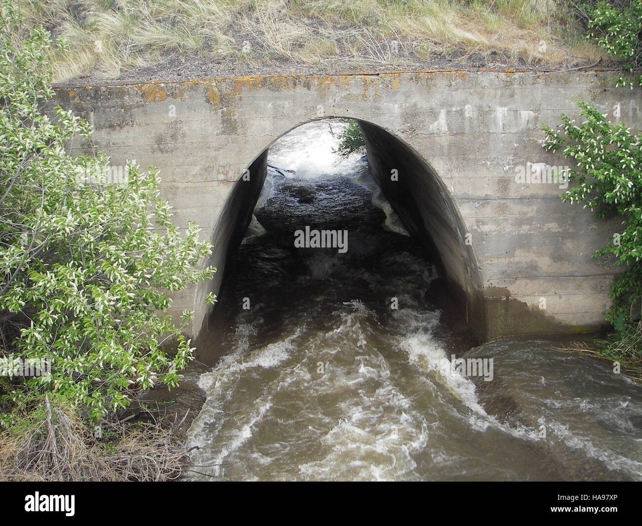 This photograph captures a culvert at Rock Creek, showcasing an element ...
