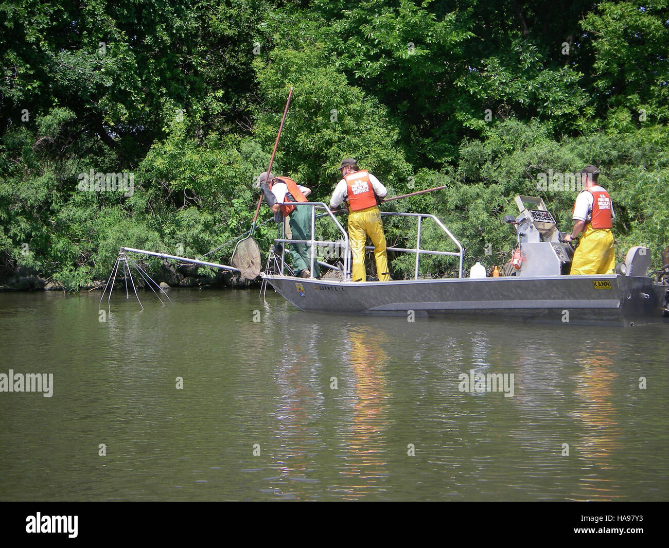 This image shows electrofishing, a method used by wildlife ...