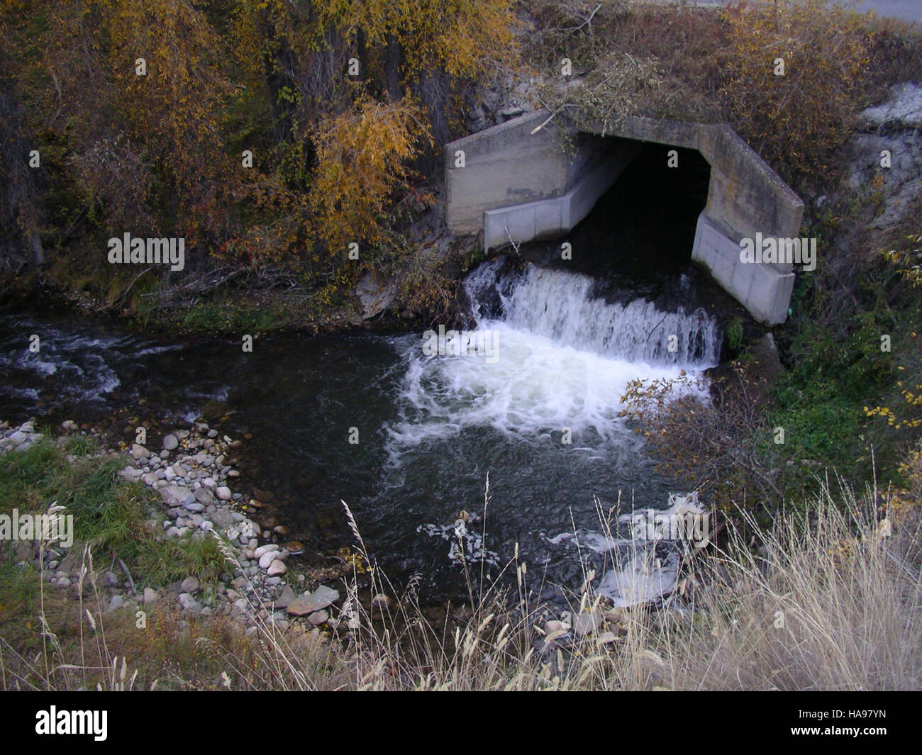 The fish barrier in Carbon County, Montana, is an environmental ...