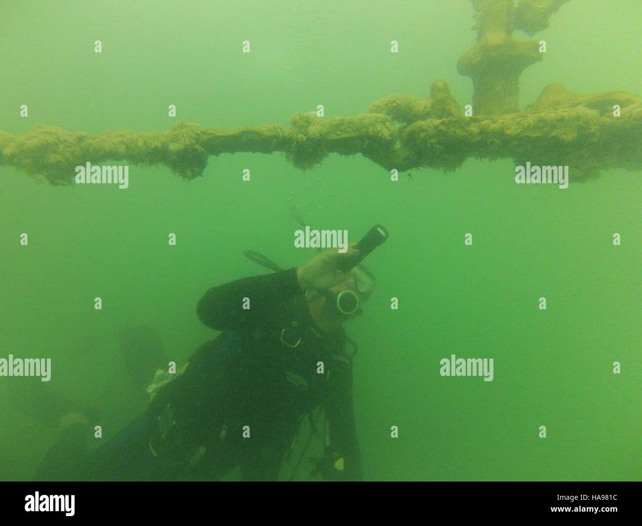 usfwsmtnprairie 9076687905 R6 Dive Team Searching for Quagga Mussels in ...