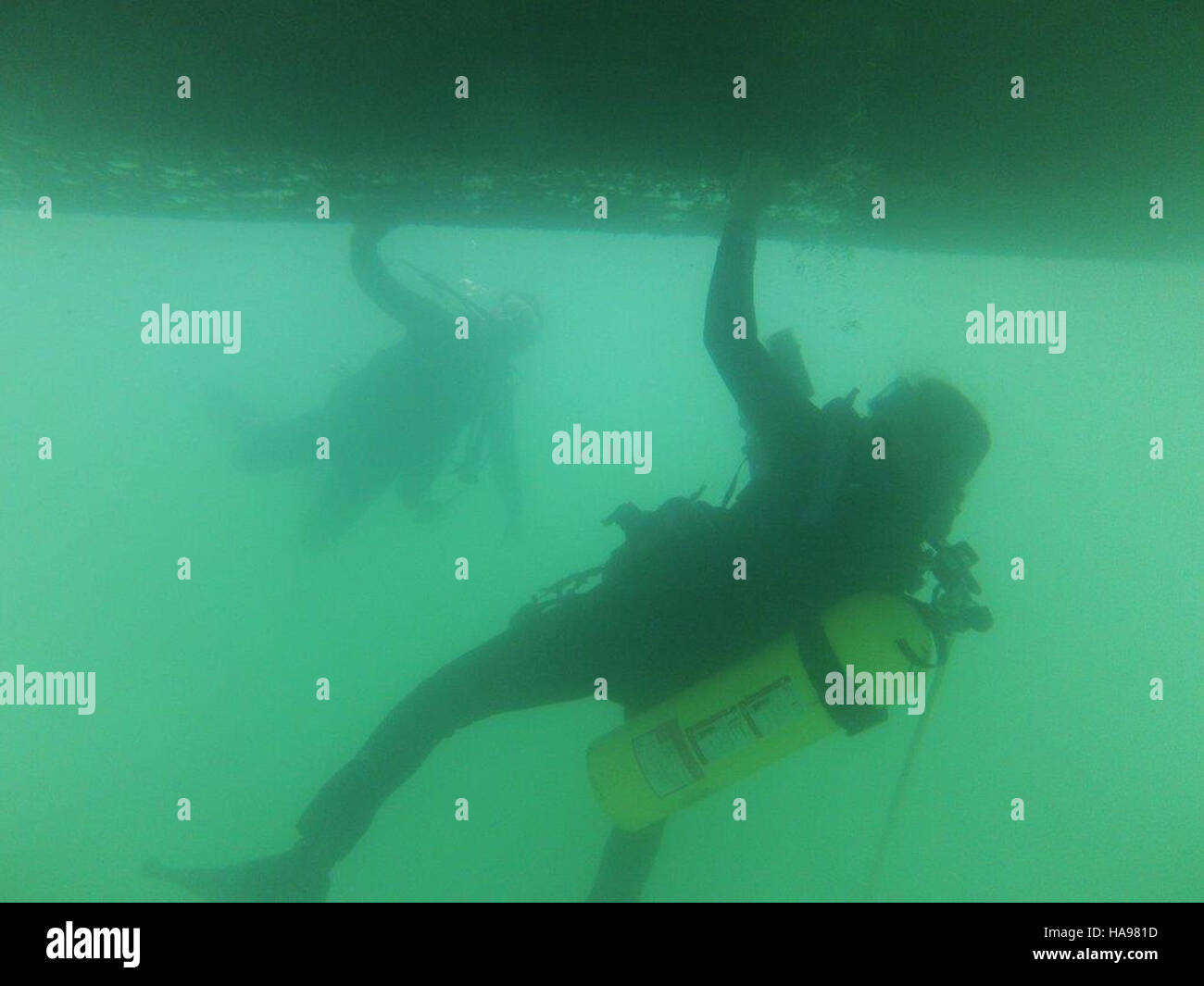 The U.S. Fish and Wildlife Service's R6 Dive Team conducts a survey to ...