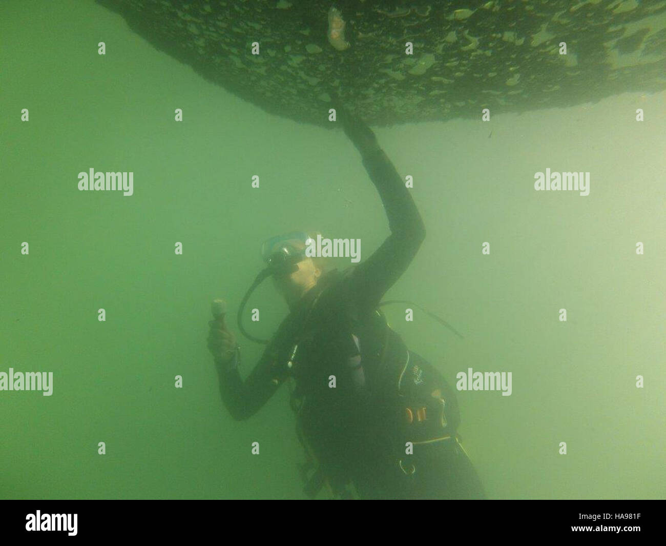 This photograph shows the R6 Dive Team conducting a search for invasive ...