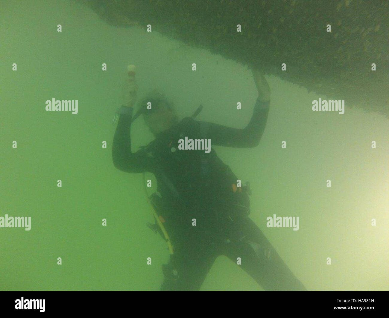 The R6 Dive Team conducts a search for quagga mussels in Lake Powell as ...