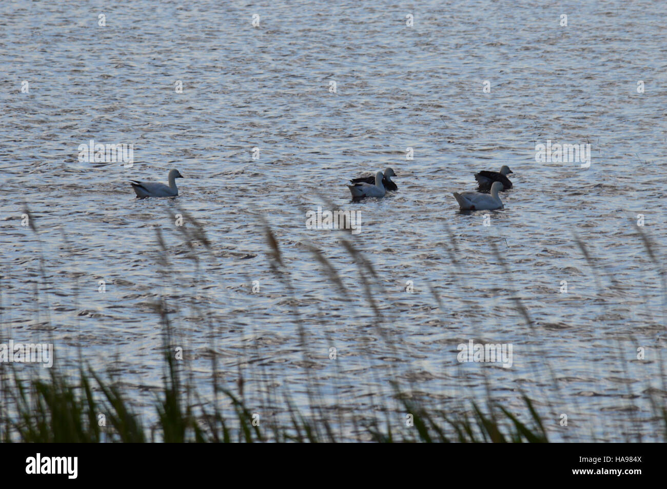 The National Park in the Mountain Prairie region provides visitors with ...