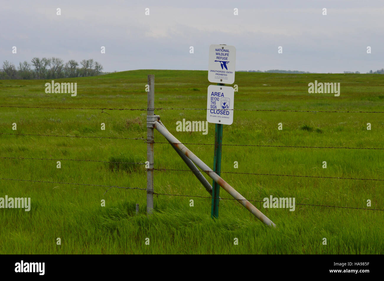 The boundary of the Refuge National Park marks the delineation between ...