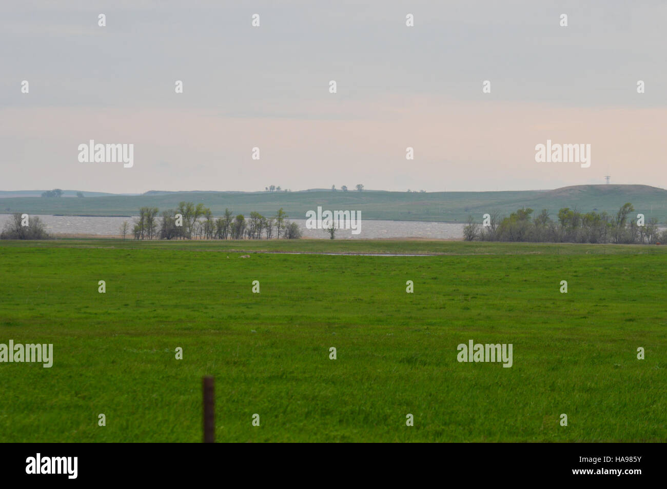 An image showcasing Lake Ilo National Park, a protected area known for ...