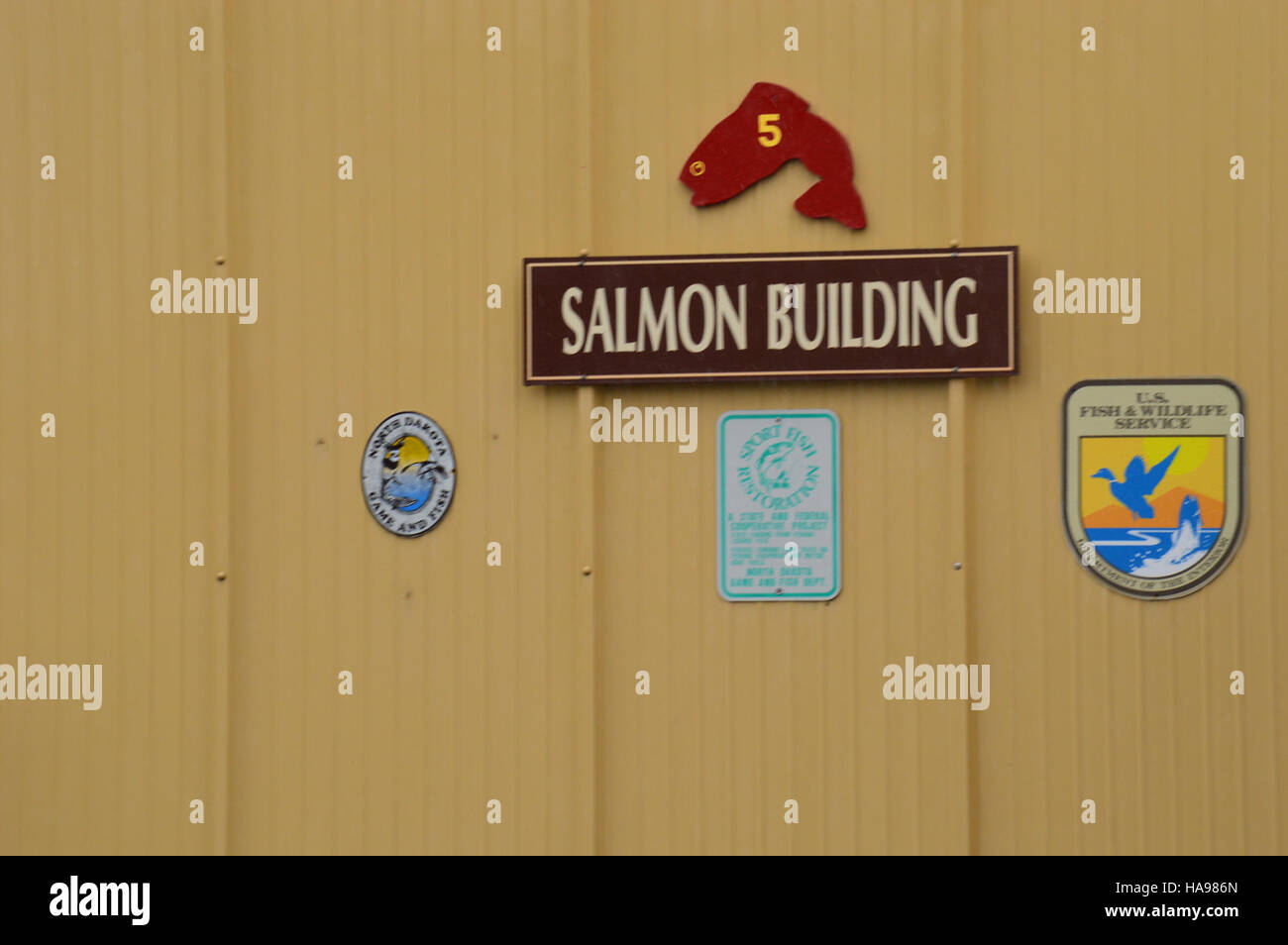 The Salmon Building in the National Park serves as a visitor center and ...